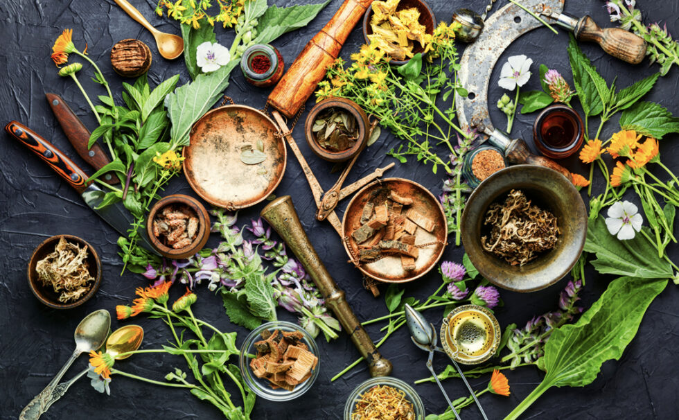 Exploring the Rich Heritage of Native American Healing – The Earth Heals