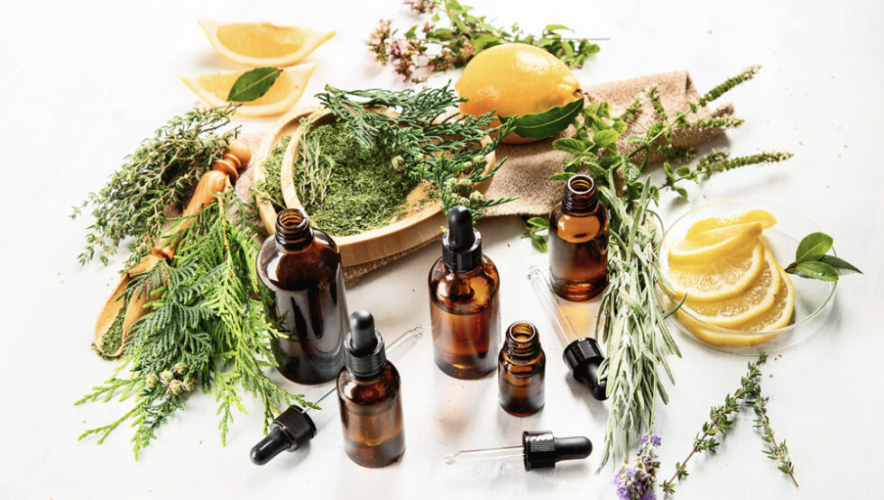 Refresh Your Space with Essential Oils – The Earth Heals